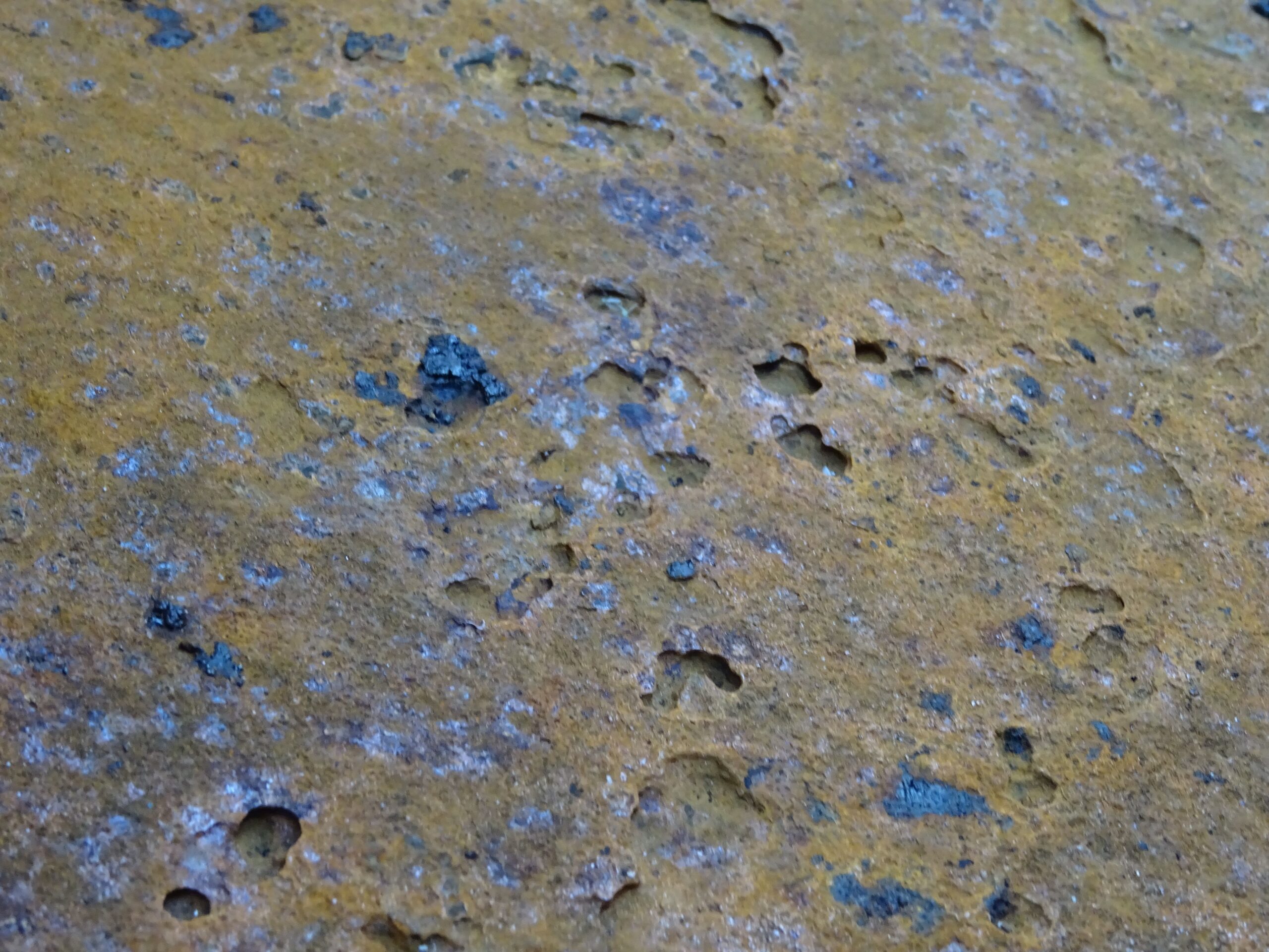 Niet teren, wel conserveren!